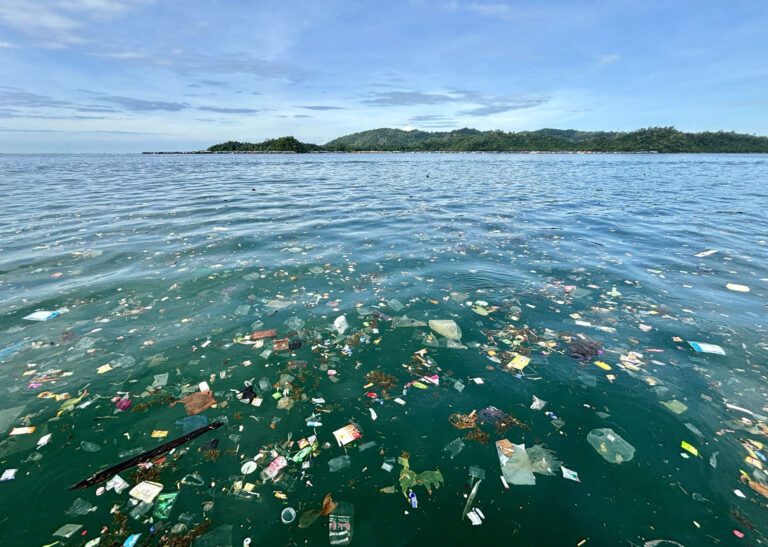 Join the Fight for Plastic-Free Oceans Today