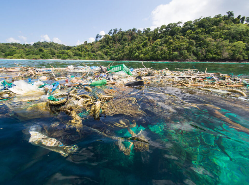 Join the Fight for Plastic-Free Oceans Today